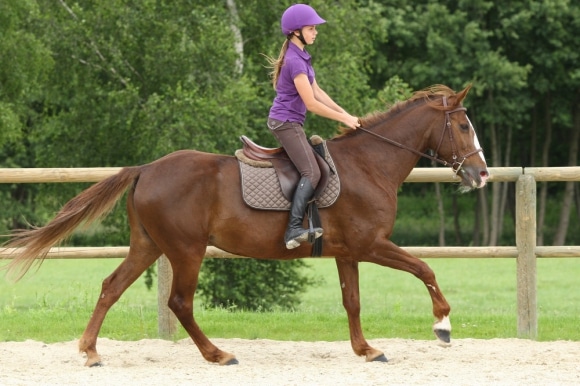 Se muscler grâce à l'équitation | Vive Le Sport